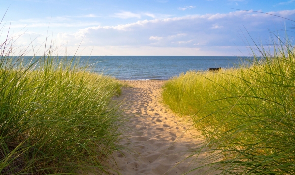 Spend a Day at a Michigan Beach - MARVAC