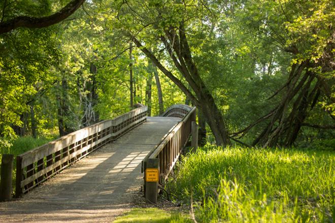 Escape to these 12 Michigan Walking Trails - MARVAC