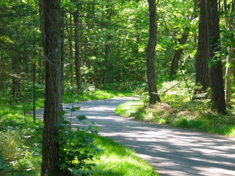 Escape to these 12 Michigan Walking Trails - MARVAC