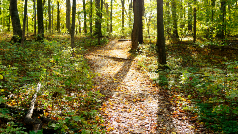 Explore History and Nature Through Michigan Heritage Trails - MARVAC