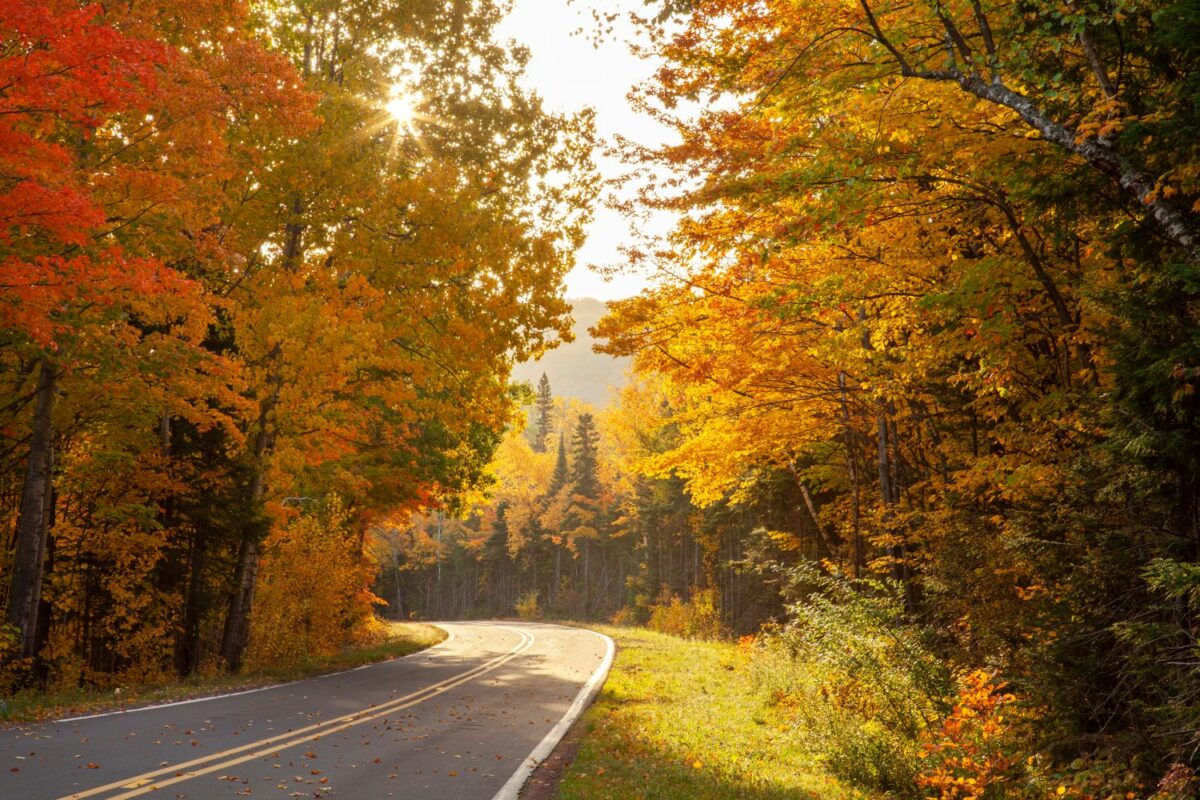 How to Spend a Fall Day Part 1: 3 Northern Michigan Itineraries to Make ...